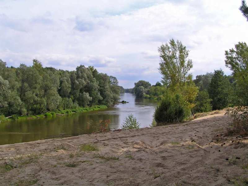 Szeroki Trakt: Rzeka Bug w okolicach Kodnia