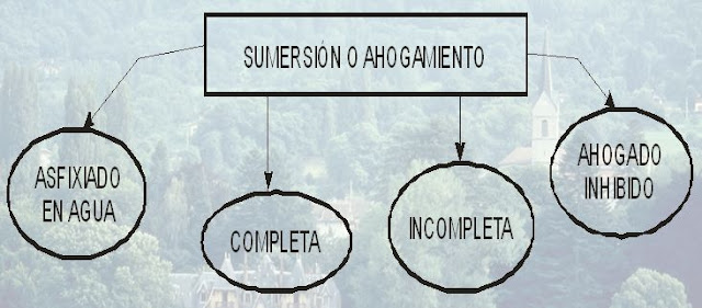 INTRODUCCIÓN AL ESTUDIO DE LA ASFIXIOLOGÍA - Énfasis en Sumersión