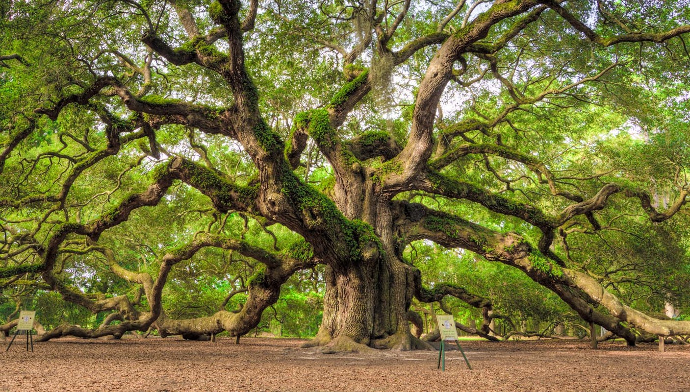 Timotheos Prologizes: Altar Guild talk on Sacred Space