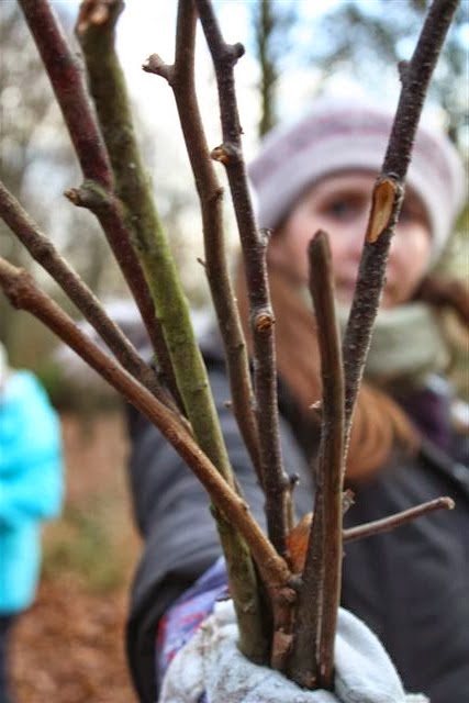 Forest Schools: WHAT IS A STICK?.... something to think about