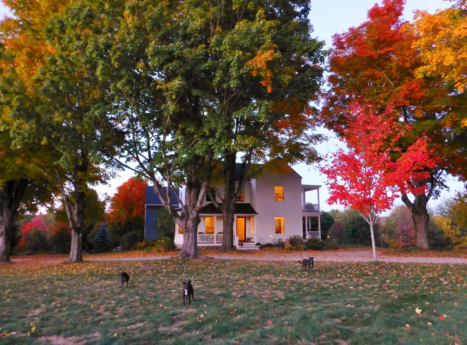 for the love of a house: fall at the farmhouse and my roasted butternut ...