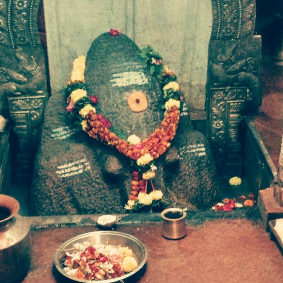 Sri Karya Siddhi Vinayaka Swamy Temple Chodavaram | Information Timings