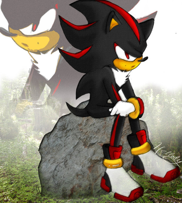 Una Historia ShadAmy: Presentación :3