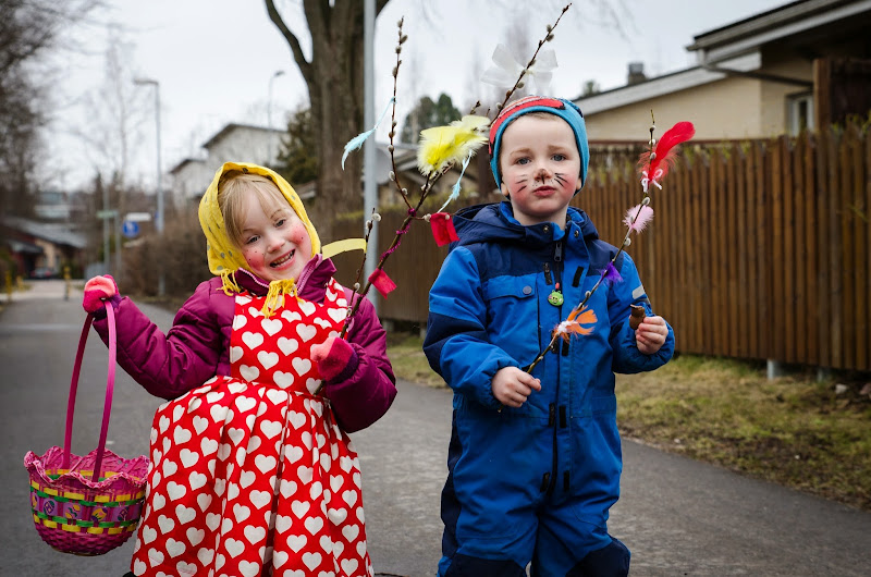 Searching for the greener side: Pikku virpojat