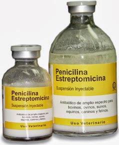 anadanimarta: La Penicilina.