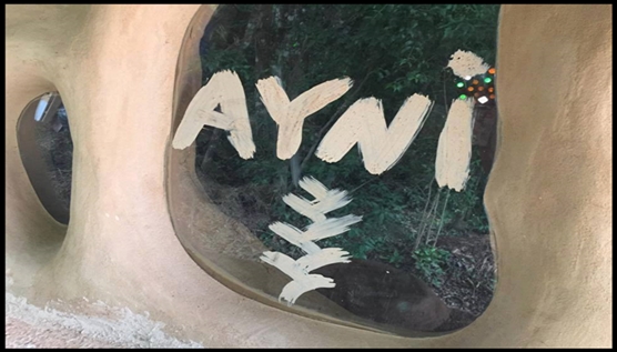 E agora, Prô?: O Significado da Palavra AYNI