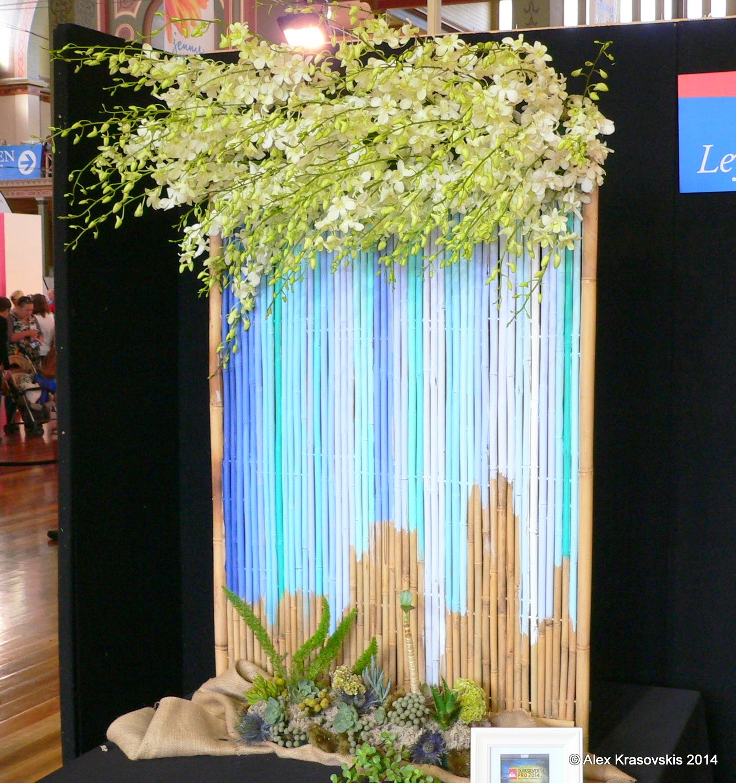 Aggregata Plants & Gardens: Melbourne International Flower & Garden ...