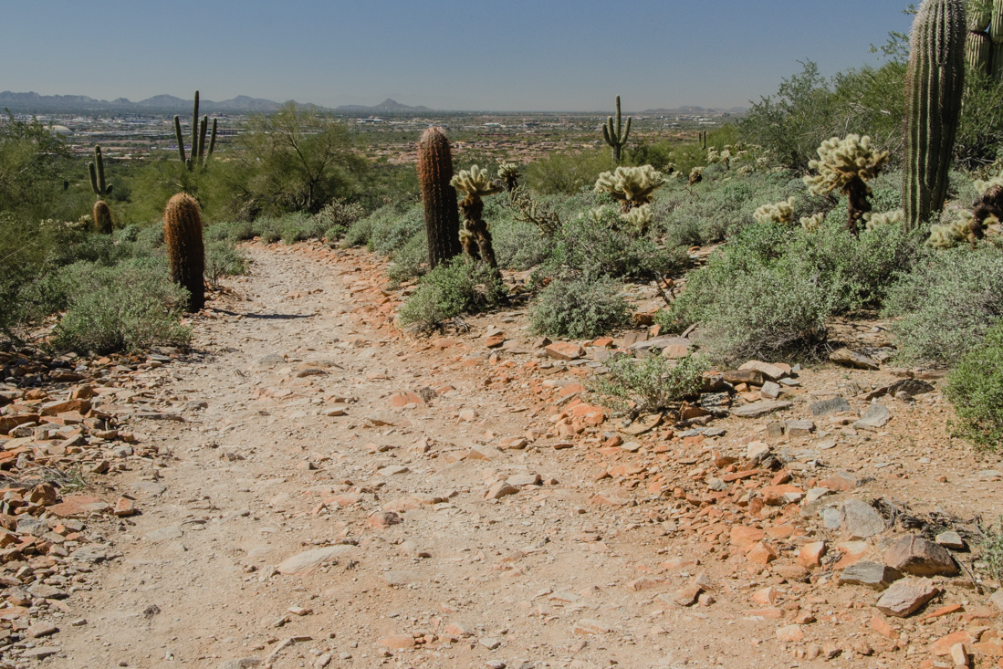 Pacific Northwest Photography: Arizona Desert Hiking: Gateway Loop Trail