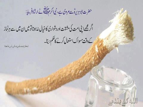 Miswak - Towards Islam