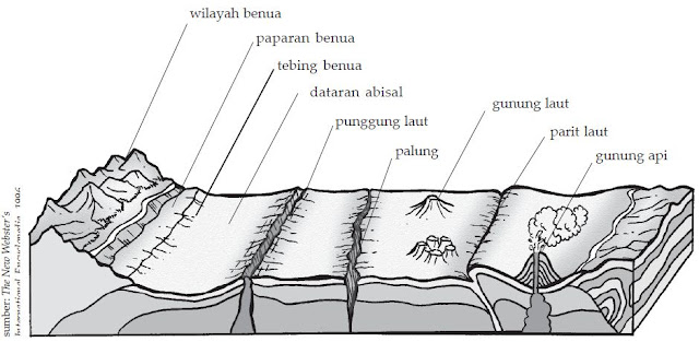 Relief atau Bentuk Muka Bumi di Dasar Laut | Berpengetahuan