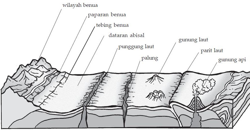 Relief atau Bentuk Muka Bumi di Dasar Laut | Berpengetahuan