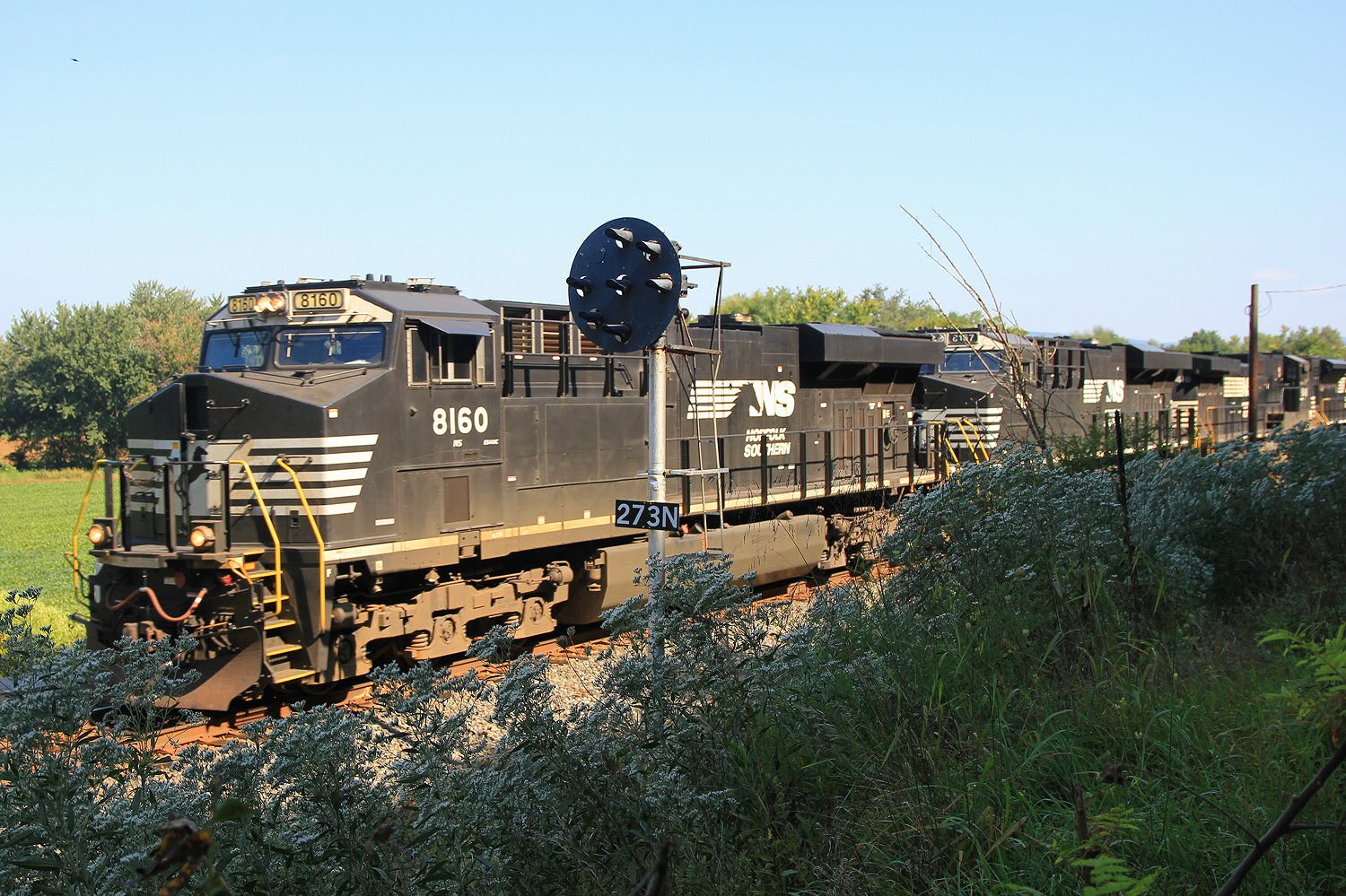 Jersey Mike's Rail Adventures: 17-09-16 PHOTOS: Buffalo Line