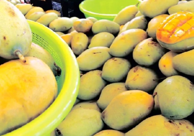 Anim Agro Technology: HARUMANIS DI JOHOR - SATU REALITI?