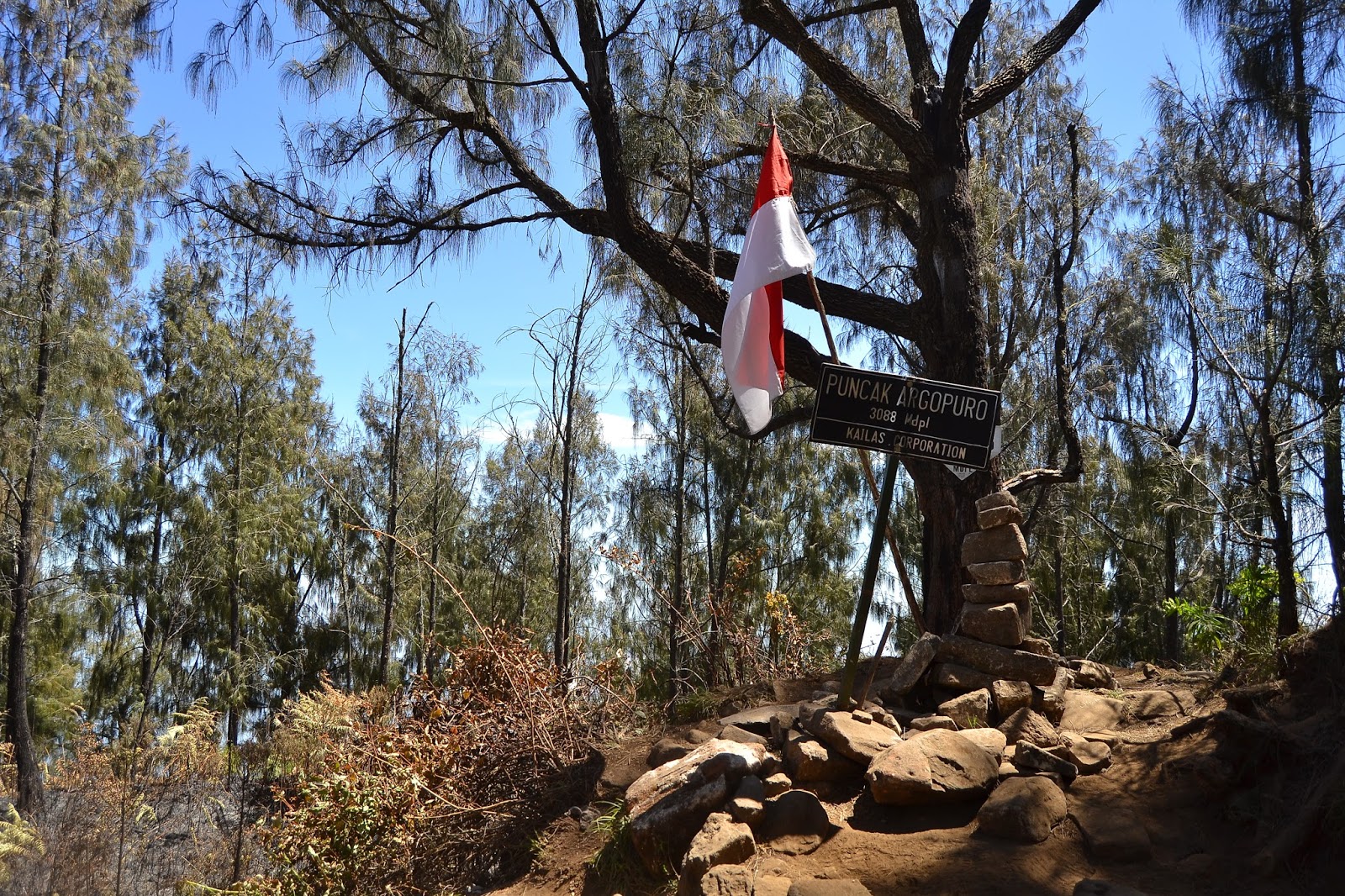 Porter Argopuro, Pendakian Gunung Argopuro via Baderan - Bremi, Guide ...