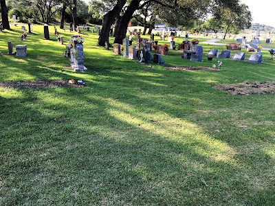 Rowan's Story: "God is in the details": Everything happens for a reason ...