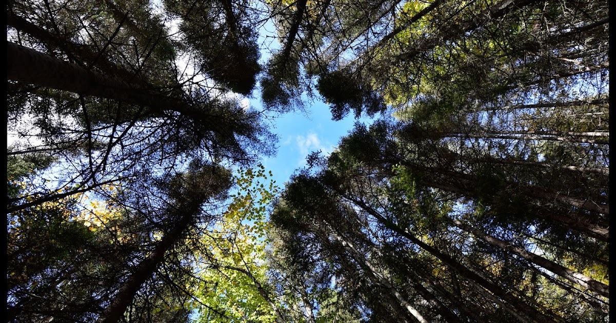 Photos, mots et dessins: Toujours plus haut...