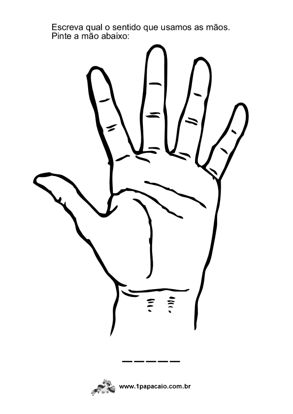 EDUCAÇÃO EM ALTO GRAU: Novas atividades órgãos dos sentidos, Os cinco ...