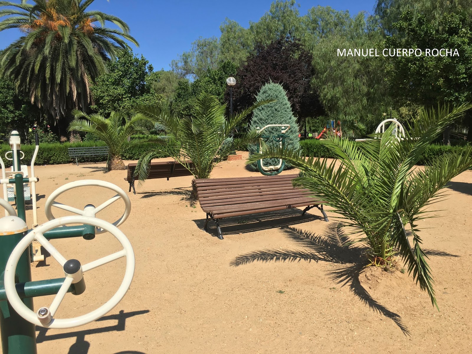 PARQUE MUNICIPAL DE MONTIJO: 5.PARQUE MUNICIPAL. ORNAMENTOS E ...