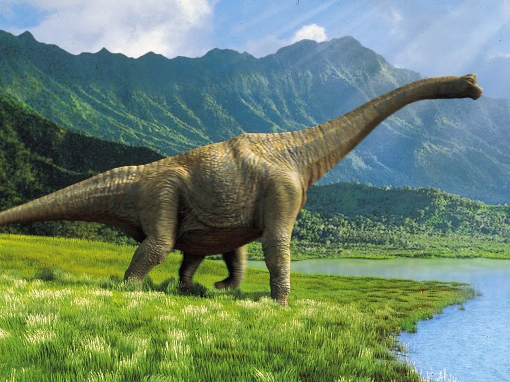 WALLPAPER KEREN DIPLODOCUS