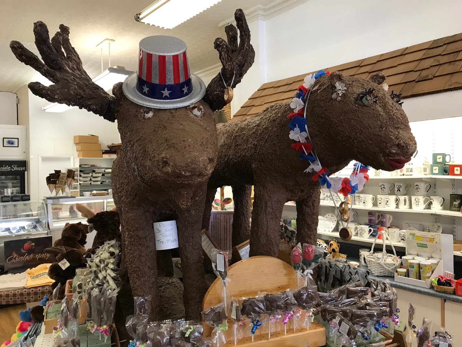 Left Bank of the Charles: Chocolate Moose in Bennington, Vermont