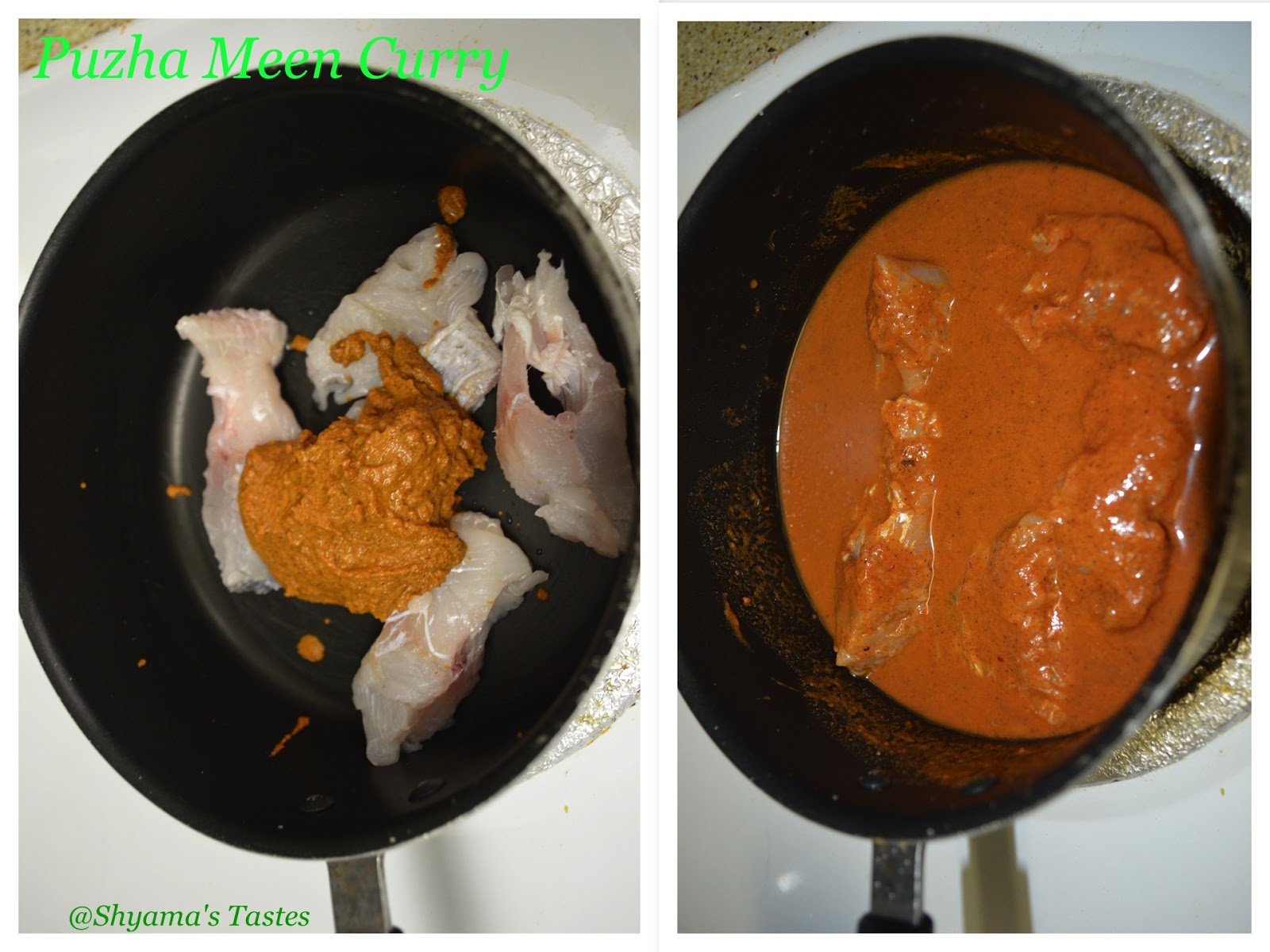 Shyama's Tastes: Puzha Meen Curry/Fresh Water Fish Curry-Easy Recipe