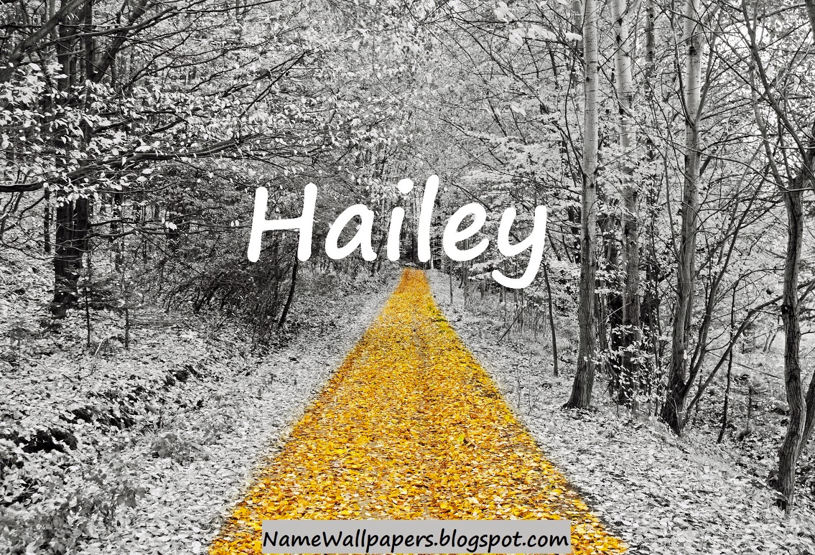 Hailey Name Wallpapers Hailey ~ Name Wallpaper Urdu Name Meaning Name ...