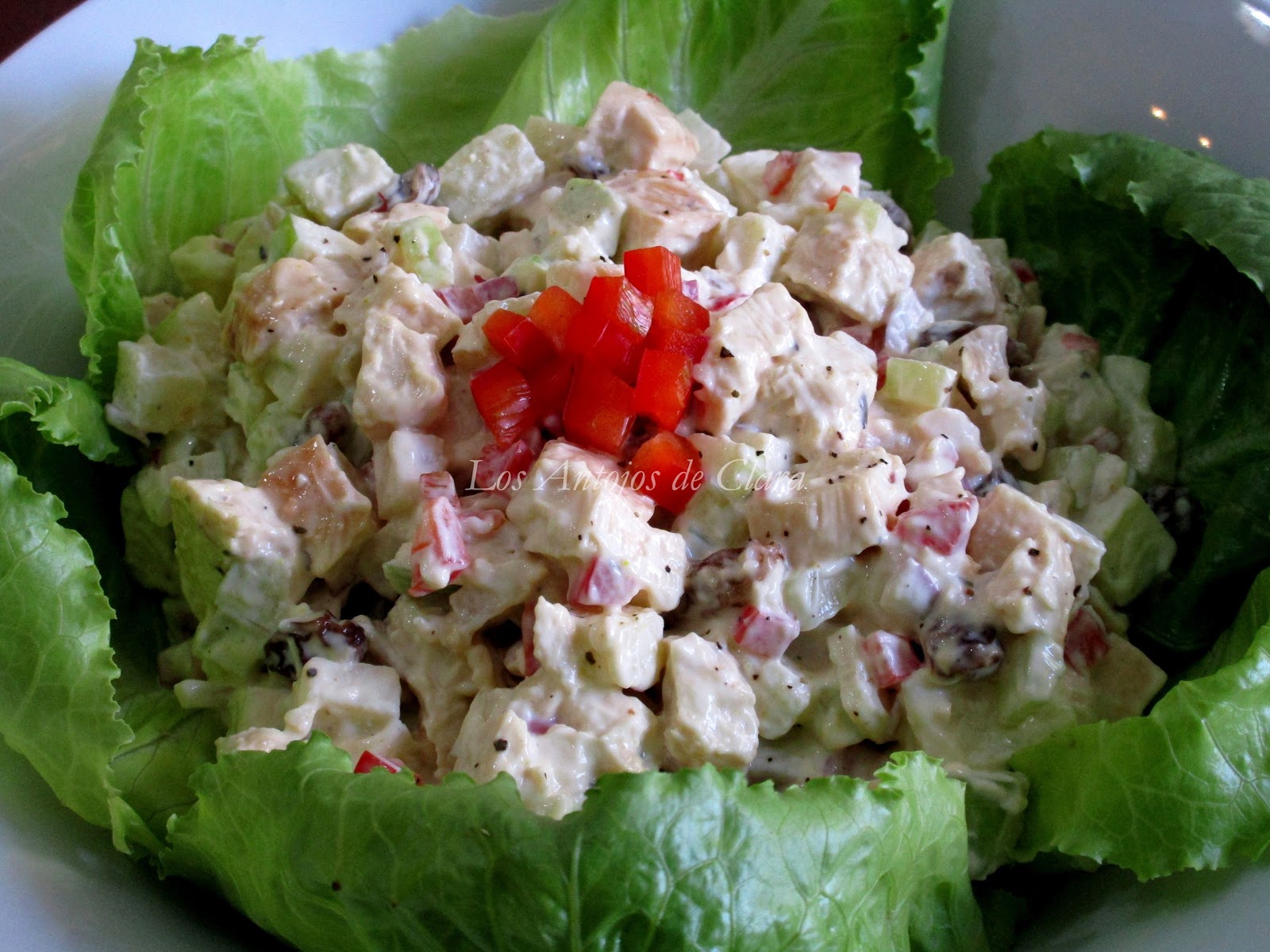 Los Antojos de Clara: Ensalada de pollo con manzana, apio, pimiento y ...