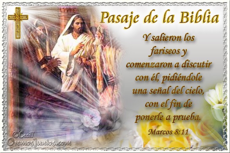 Vidas Santas: Santo Evangelio según san Marcos 8:11