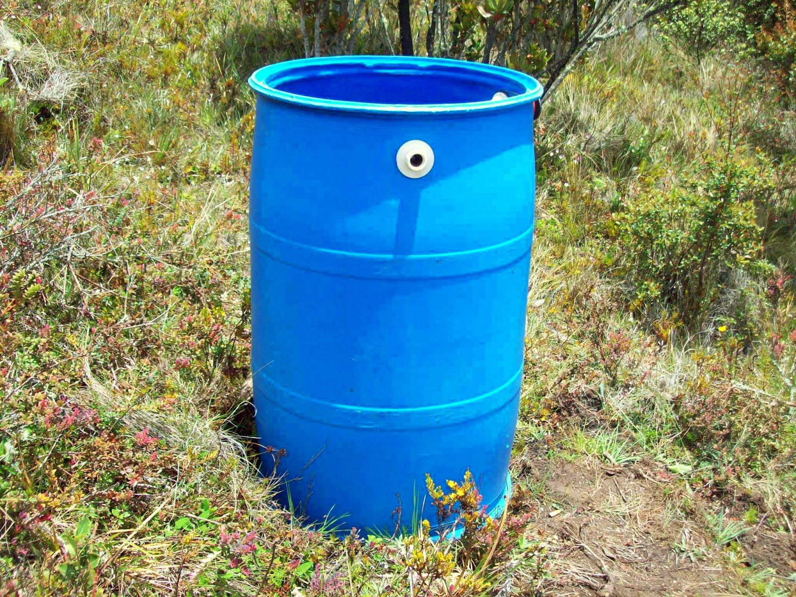 This Old Man's House: Slow sand water filter.