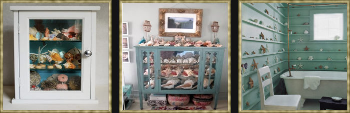 Eye For Design: Great Ways To Display Your Seashell Collection