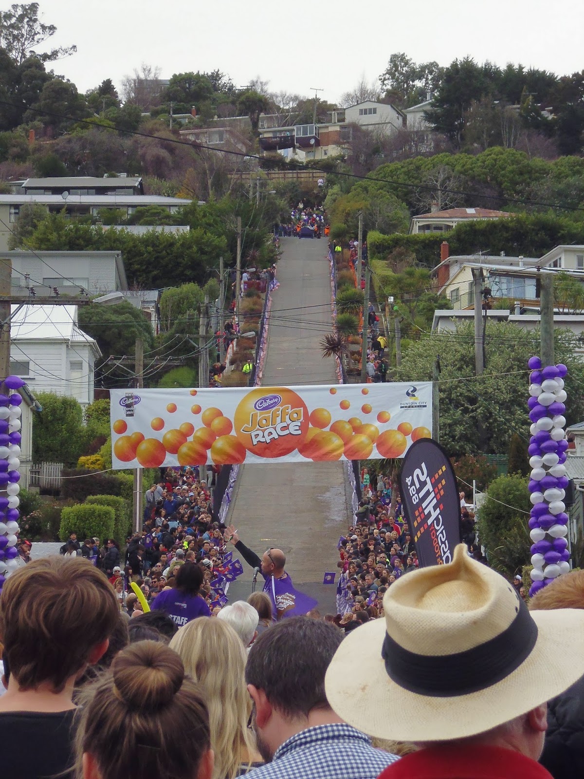 Trip in New Zealand: The Jaffa Race