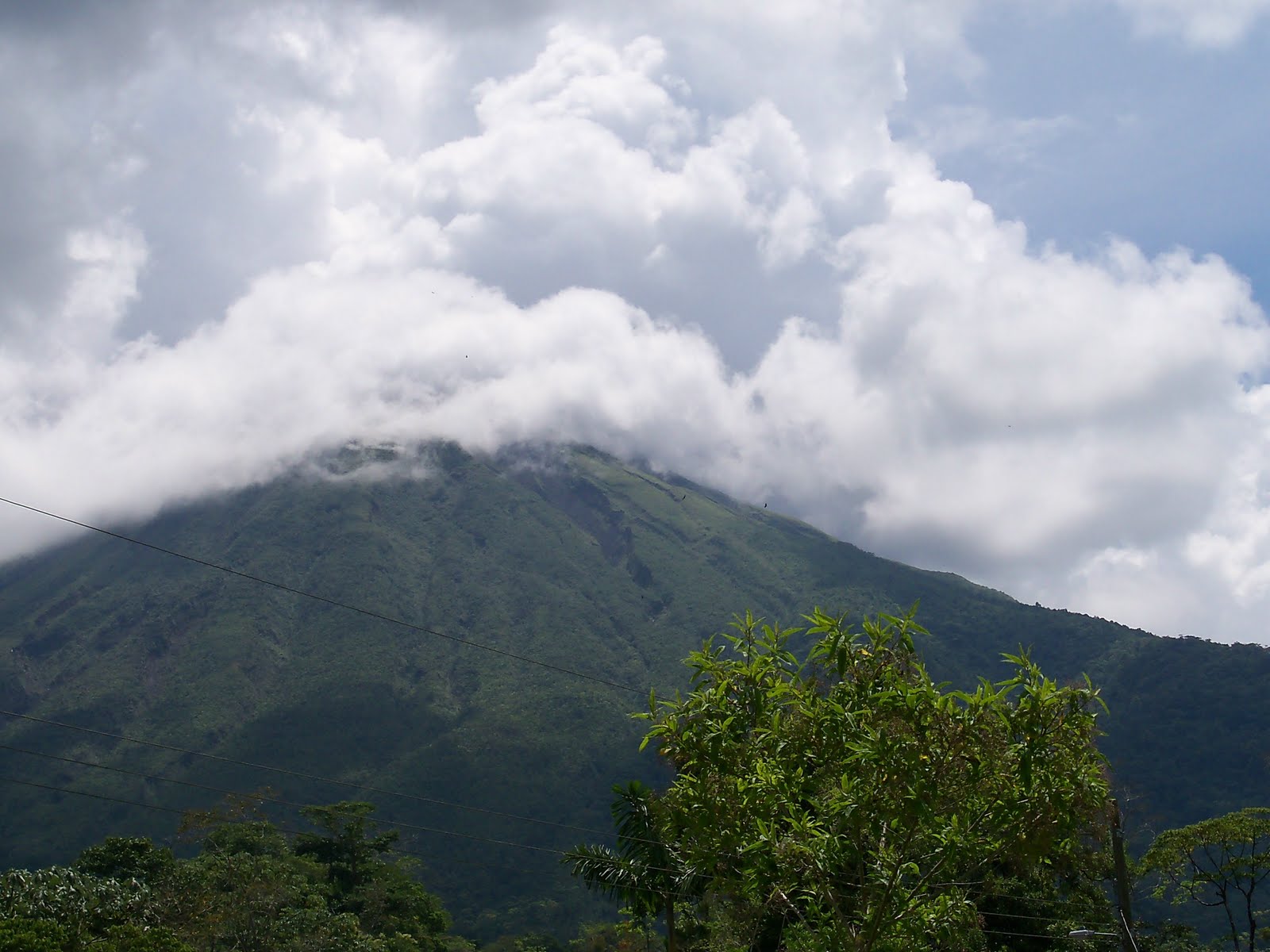 Jungle and Rainforest Art of Costa Rica: "Shades of Arenal Volcano in ...