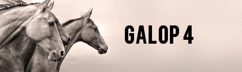 Le cheval, les galops, astuces