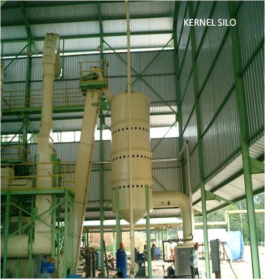 Tahukah Anda? : Proses Pembuatan Minyak (CPO) Kelapa Sawit