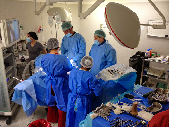 PACIENTE QUIRÚRGICO: PACIENTE QUIRÚRGICO - TRANSOPERATORIO