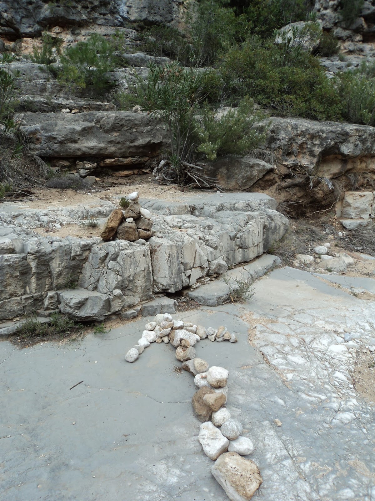 MEDIO NATURAL UN ESPACIO COMPARTIDO: RAMBLA DEL TAMBUC - COVA DE LES ...