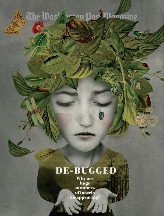 NAS CAPAS: THE WASHINGTON POST MAGAZINE