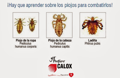 CALOX Centroamérica: ¡Los piojos, para vencerlos hay que conocerlos!