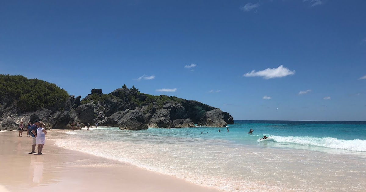 Seas the Day!: #3: I Survived the Bermuda Triangle!