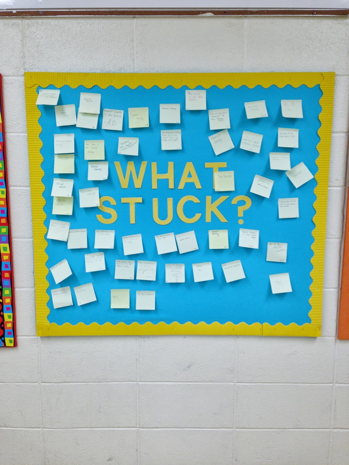 The Evolving Classroom: What Stuck?