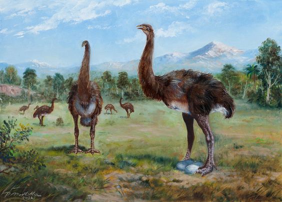 La Noche de los Gigantes (V). La Megafauna neocelandesa y malgache