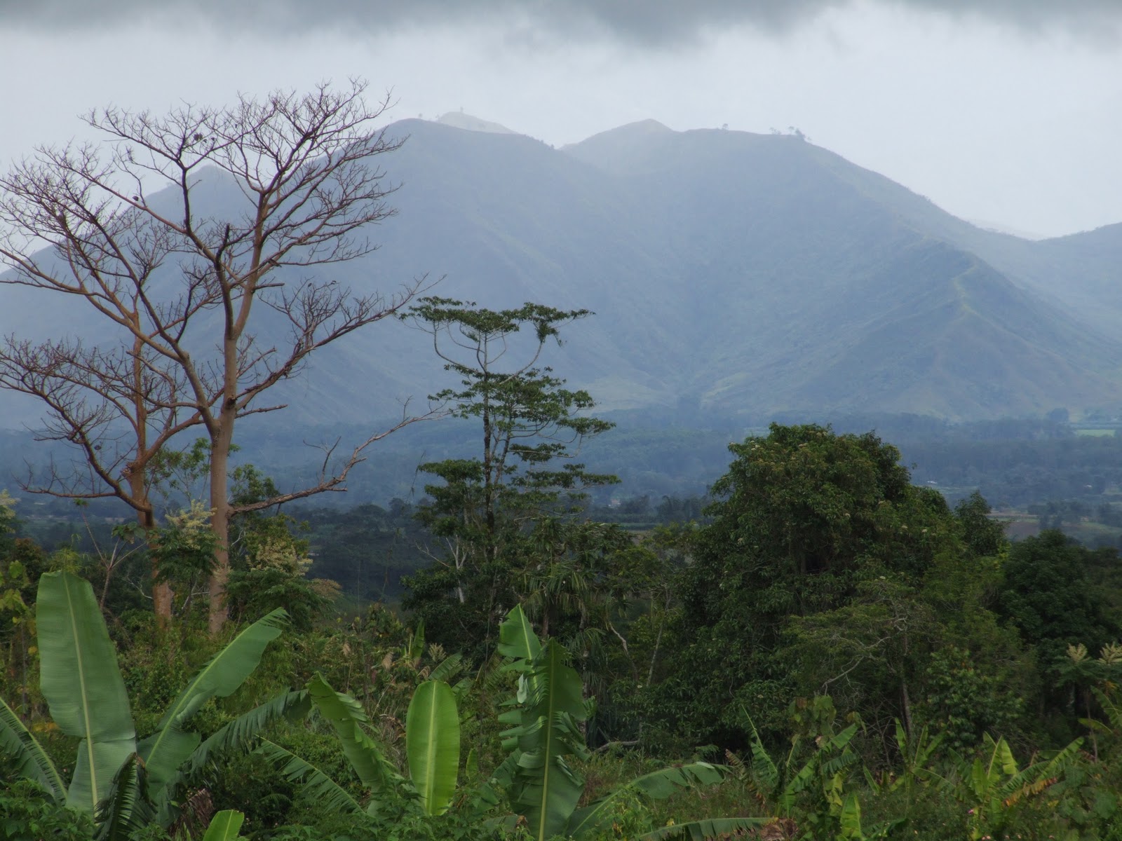 Keepers of Dreams: The Bukidnon Tribe: Bukidnon Tribe