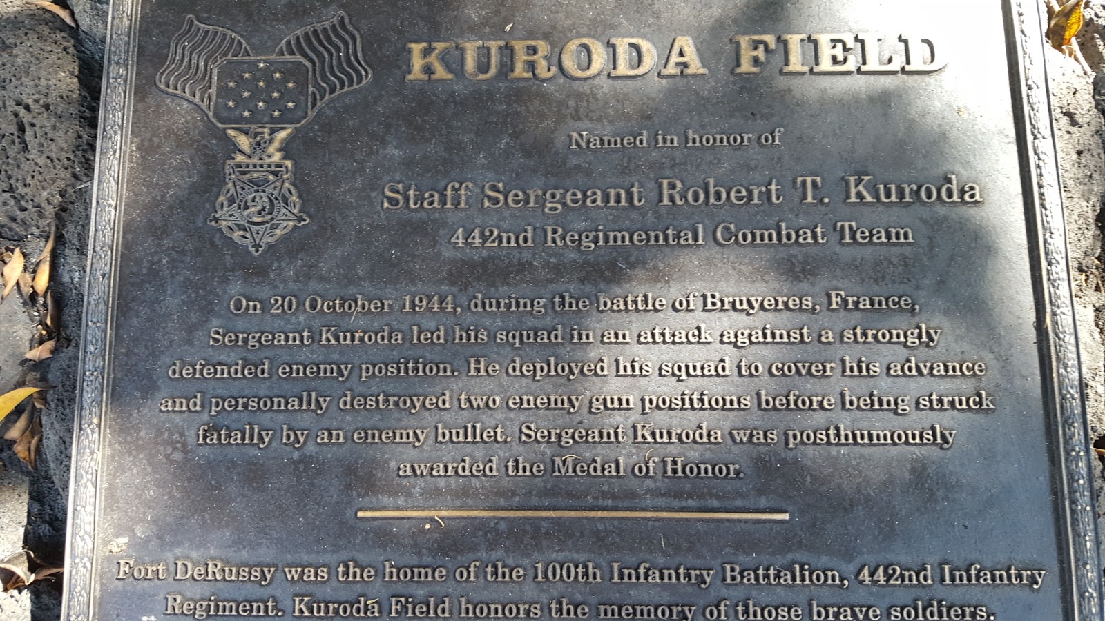 HRodenberger's Blog: The Trees of Kuroda Field
