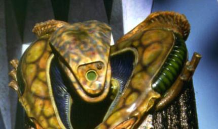 NiCK'S SANCTUARY: ABC... Easy as 1 2 3?