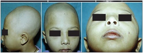 Dra. Karen Martínez : Examen de Cabeza