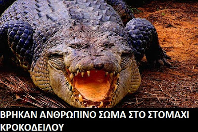 H.M.V: ΒΡΗΚΑΝ ΑΝΘΡΩΠΙΝΟ ΣΩΜΑ ΣΤΟ ΣΤΟΜΑΧΙ ΚΡΟΚΟΔΕΙΛΟΥ