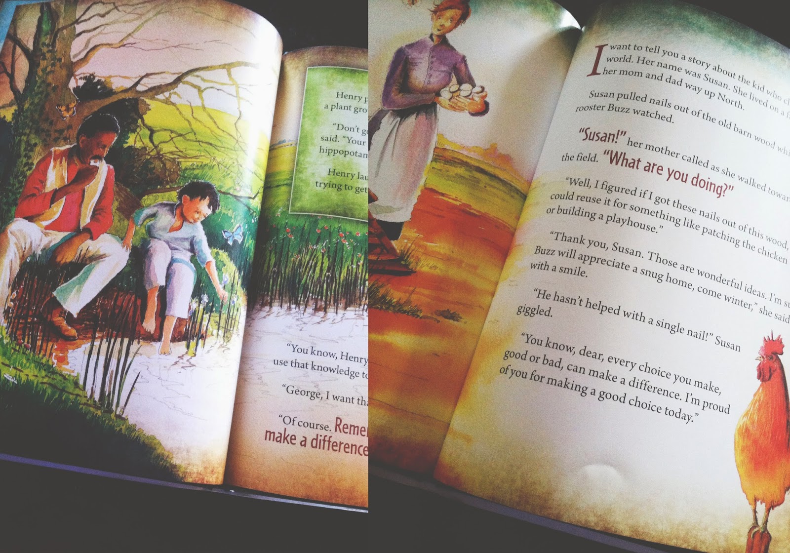 book giveaway! | the olive tree