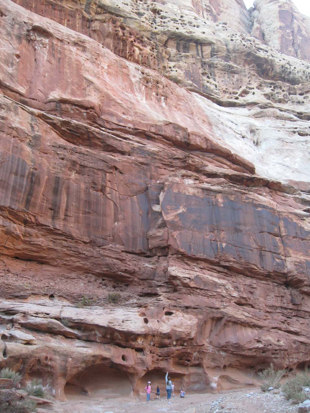 Ogden Insights: Things to Do In Utah: Capitol Reef National Park