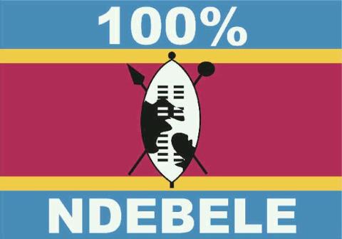www.ikhonaindaba.blogspot.com: Ndebele people not happy with Njelele ...