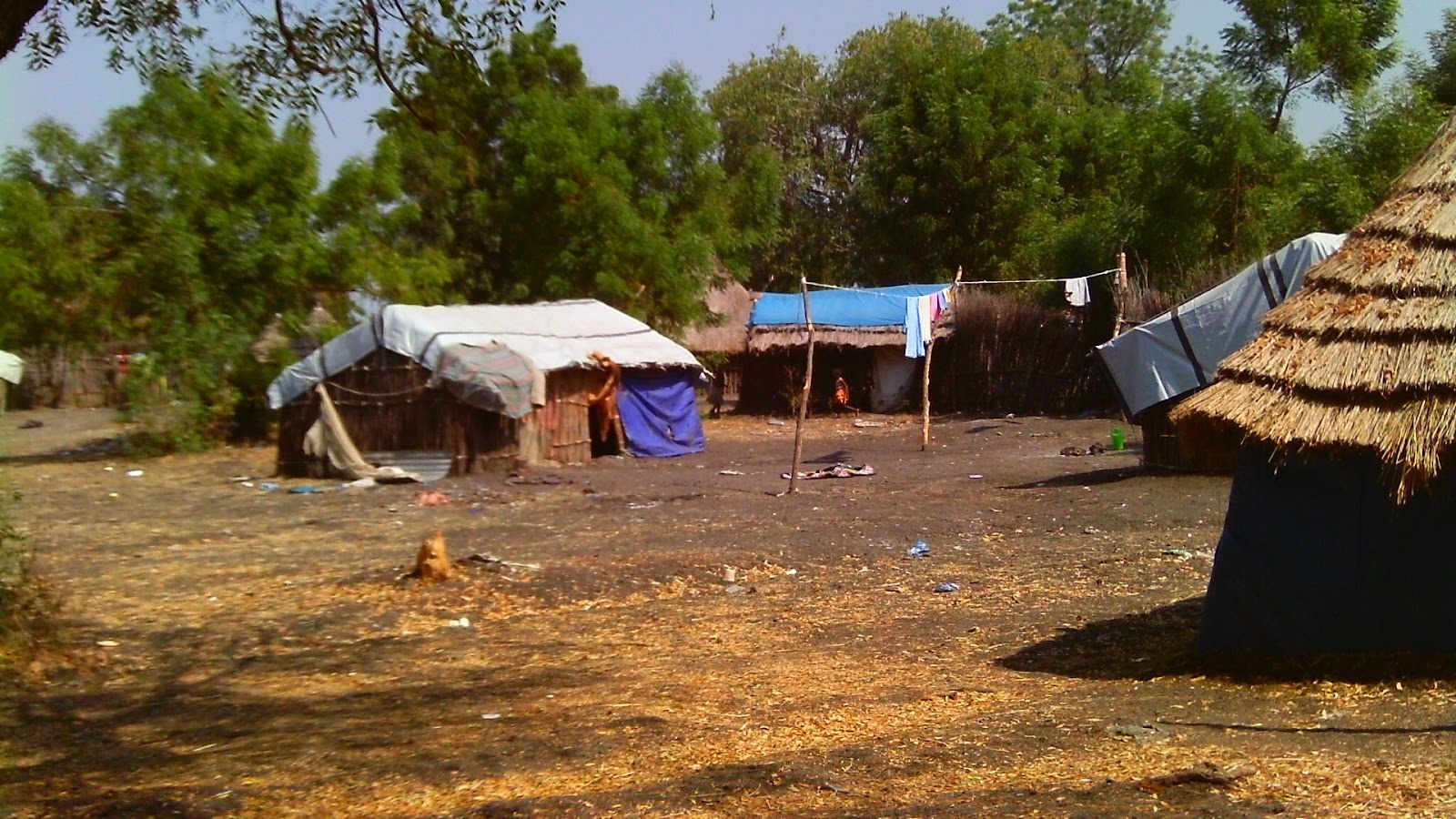 The Journey: June 2012